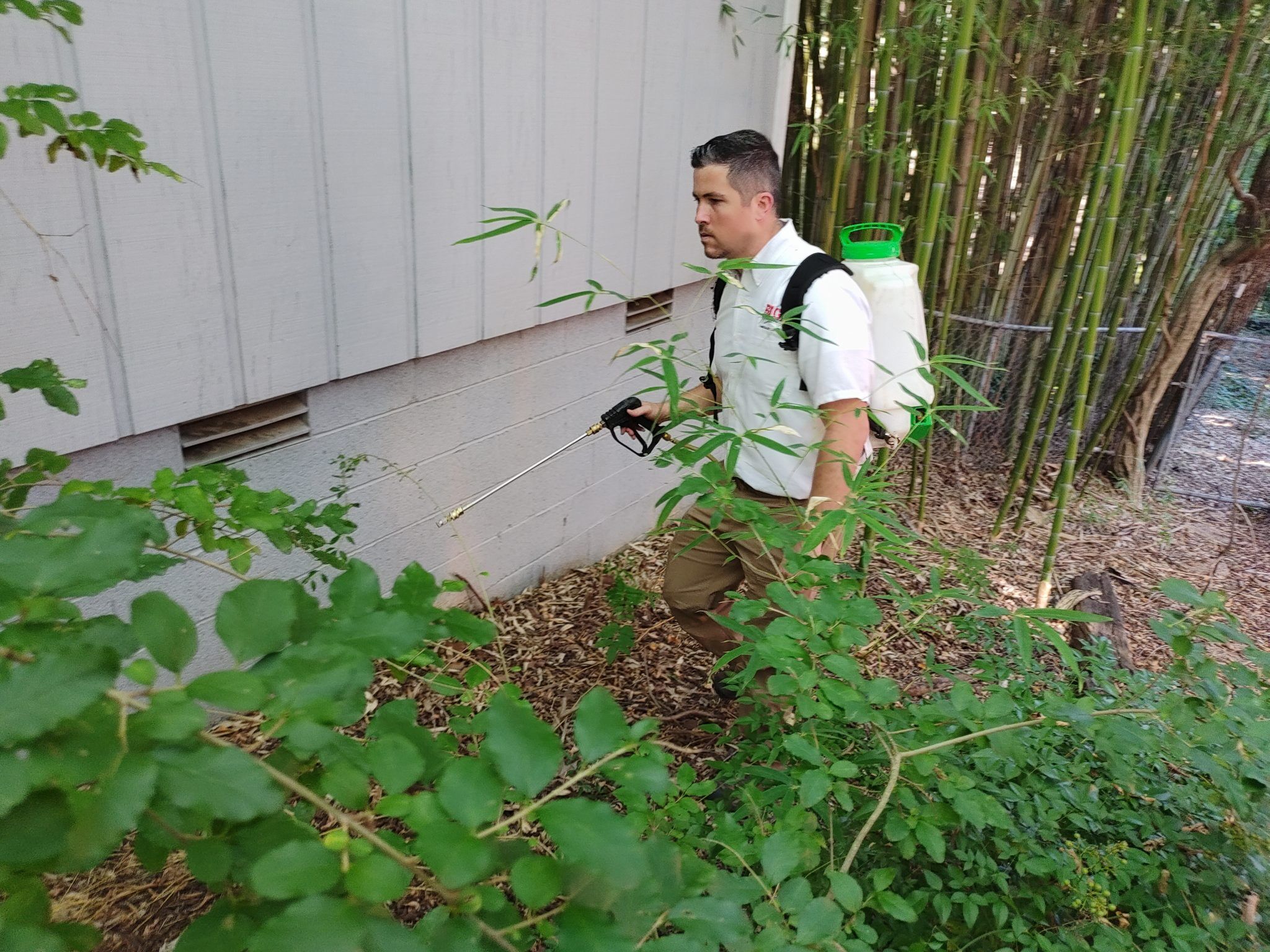 Residential & Commercial Pest Control Experts | North Little Rock ...